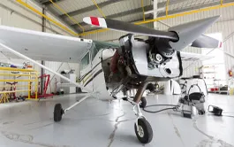 Araina Aviation - Home